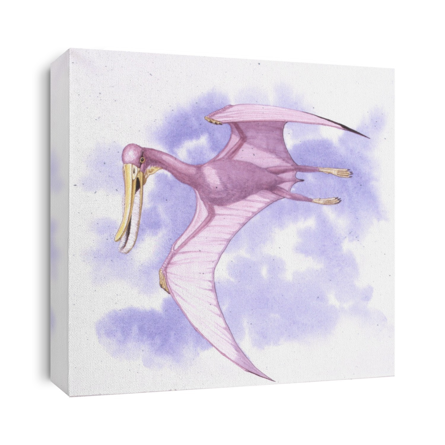 Pterodaustro pterosaur, illustration Canvas Print | CanvasWorld